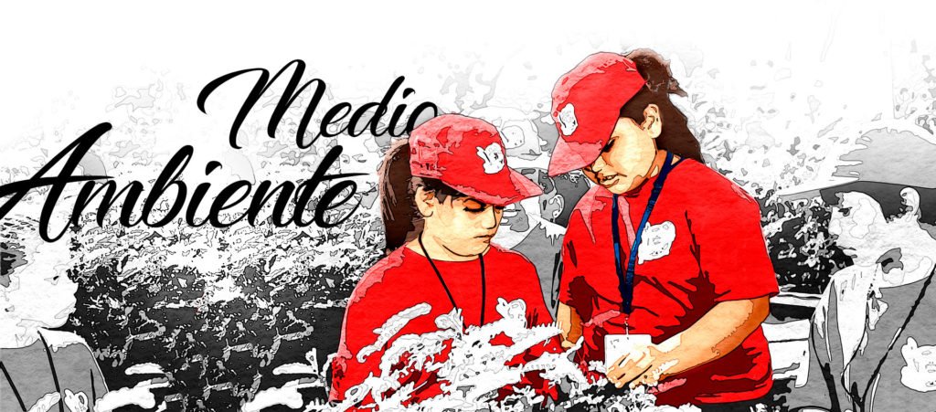 Funbe_MedioAmbiente - Fundación Bepensa